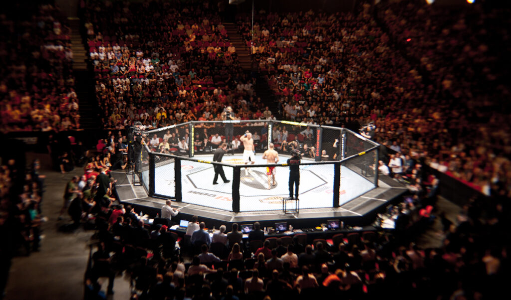 A base vem forte: quem são as promessas brasileiras no UFC - Apex ...